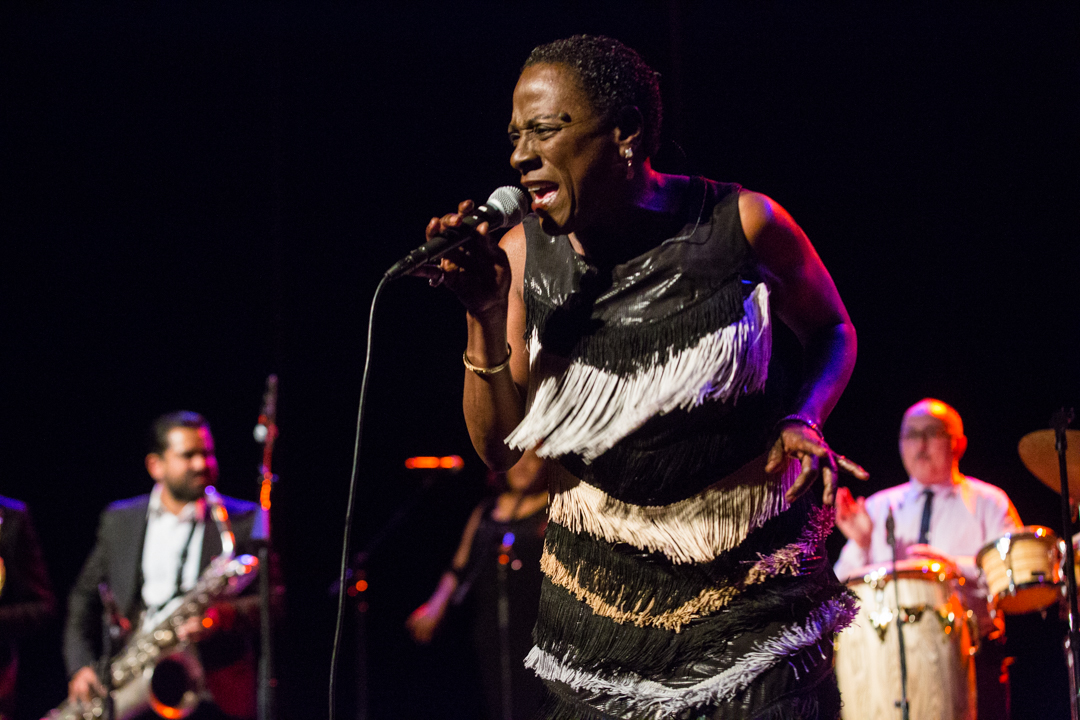 Sharon Jones & The Dap Kings: No Seats Required - Seattle Music News