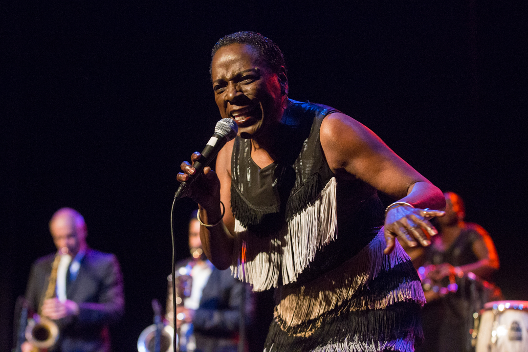 Sharon Jones & The Dap Kings: No Seats Required - Seattle Music News