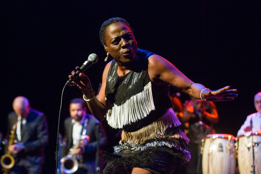 Sharon Jones & The Dap Kings: No Seats Required - Seattle Music News