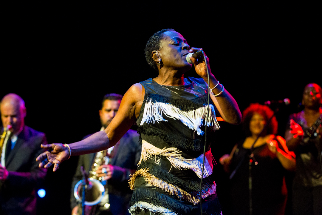 Sharon Jones & The Dap Kings: No Seats Required - Seattle Music News